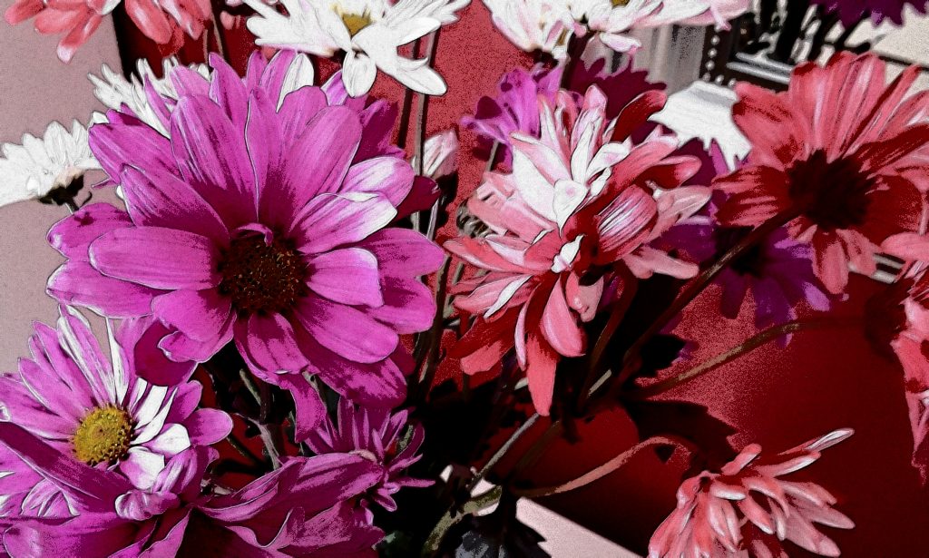 Sweet, Sweet Color! - ajoann.com