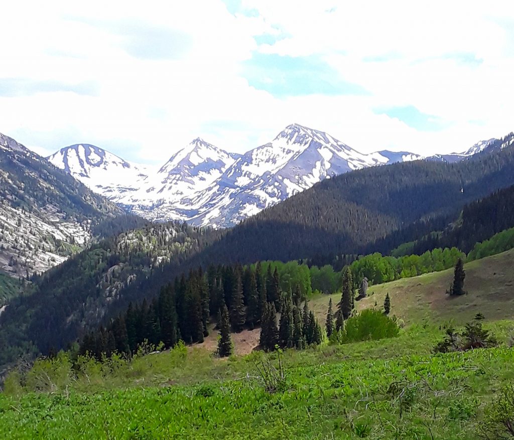 Hiking Anthracite Pass Trail in Colorado's Crystal River Valley ...