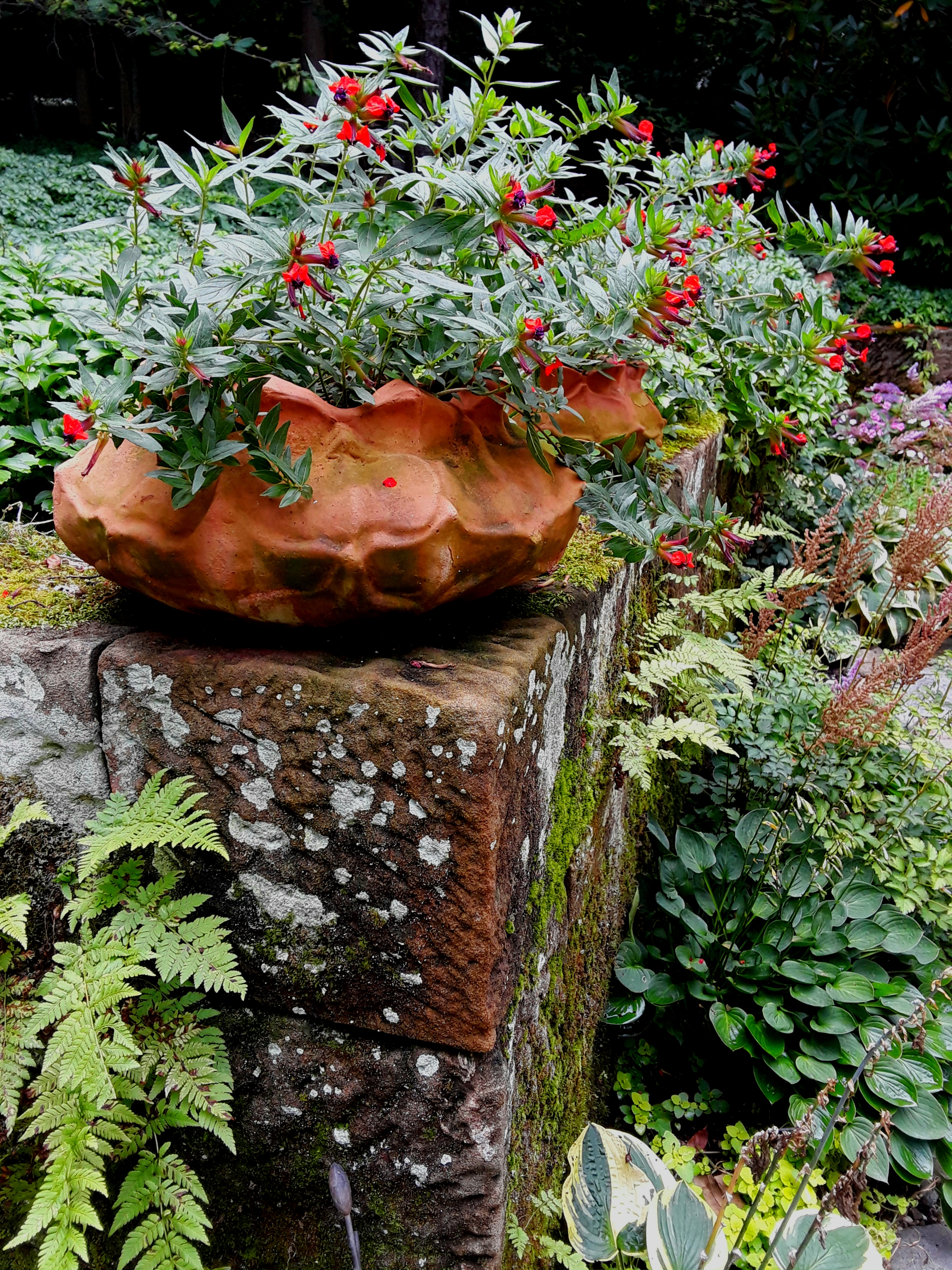 Take Your Garden Design to the Next Level - ajoann.com